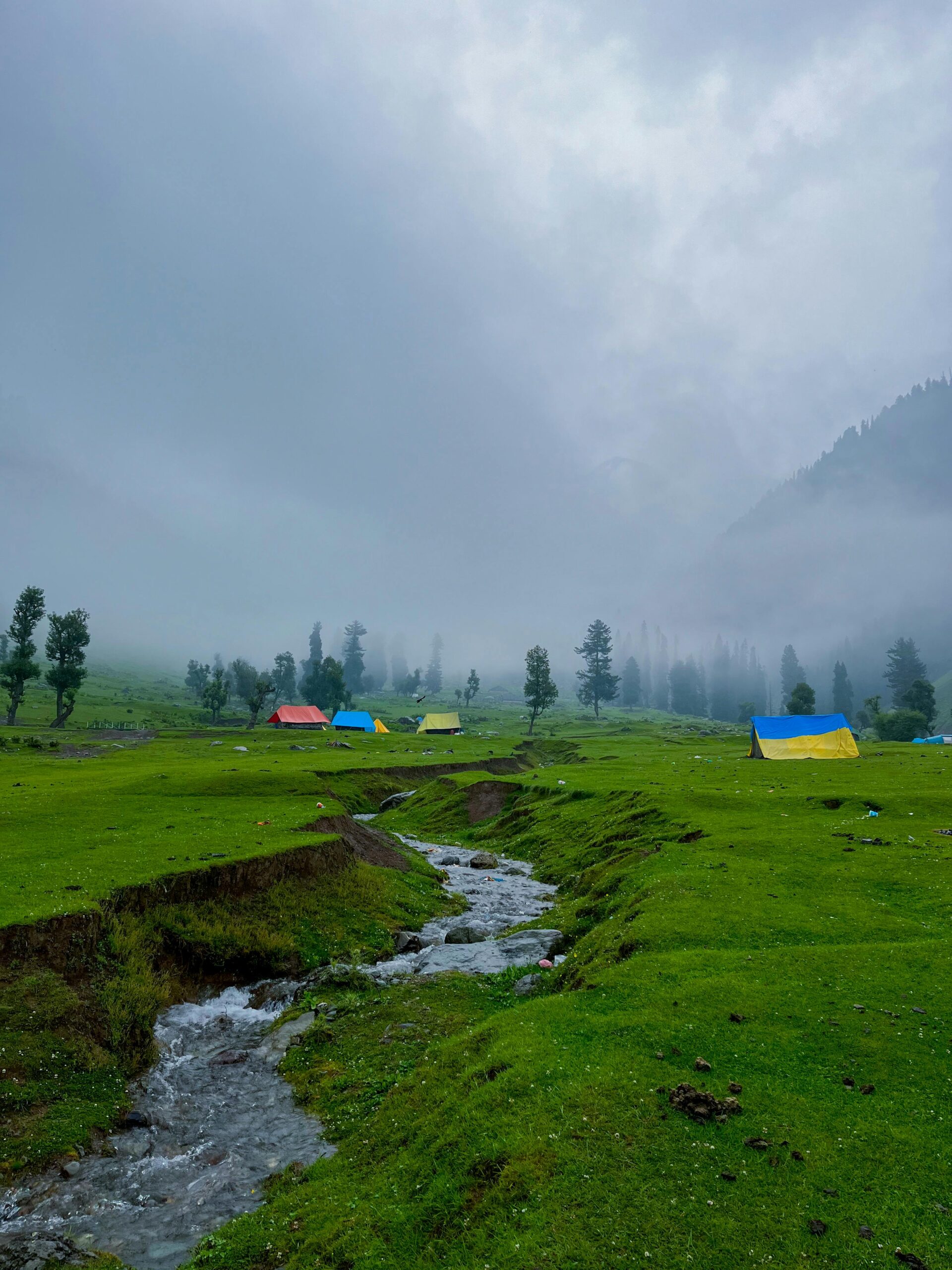 Pahalgam, Kashmir: Scenic Retreat Amid Majestic Landscapes